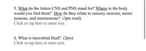 Solved 5 What Do The Letters CNS And PNS Stand For Where Chegg Com
