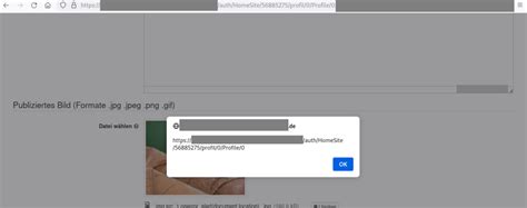 Multiple Stored Cross Site Scripting Vulnerabilities In Openolat