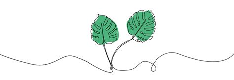 몬스테라 리프 라인 아트 열대 잎 한 줄 그리기 열대 몬스테라 잎의 연속 선 그리기 단 하나 1개의 선 잎 몬스테라 개요 스케치 0명에 대한 스톡 벡터 아트 및 기타 이미지