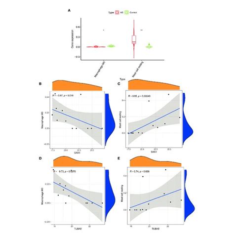 Immune Cell Correlation Analysis Graph A Shows The Immune Cells