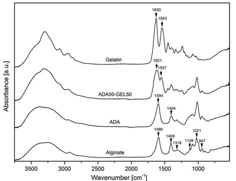 Atr Ftir Spectra Of Sodium Alginate Ada Gelatin And Ada50
