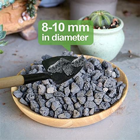Black Lava Rock For Indoor Plants House Plants Expert