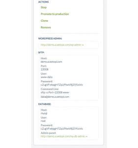 Step by Step Guide to Setup WordPress Multisite with Subdomains