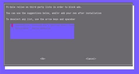 Setup And Run Pi Hole On A Raspberry Pi Privacy International