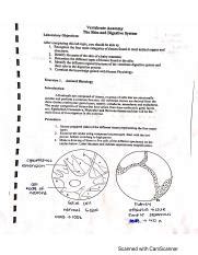 Lab Report Pdf Course Hero