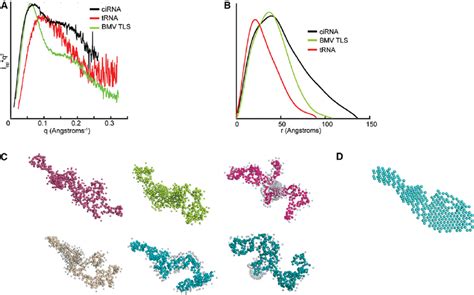 Ab Initio Shape Reconstructions Of Wt Cirna From Saxs A Kratky Download Scientific Diagram