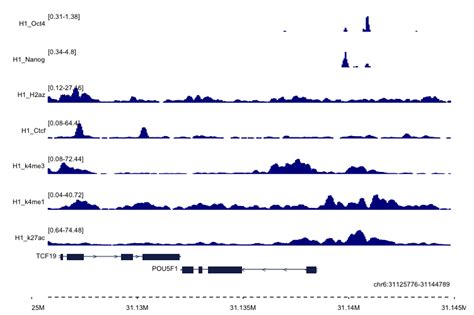 Github Poisonalientrackplot Generate Igv Style Locus Tracks From Bigwig Files In R