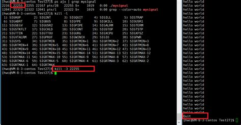 【linux】进程信号