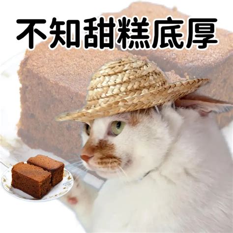 小猫谐音梗表情包 谐音梗小猫表情包相关表情包 表情包专辑 求表情网 斗图从此不求人