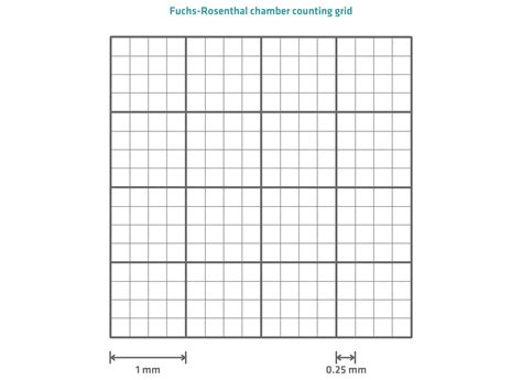 Hemocytometer Cell Counting Including Calculations Integra