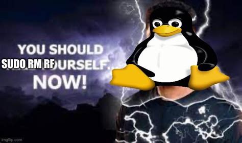 sudo rm rf is fun r linuxmemes