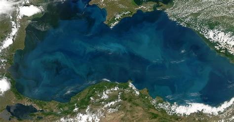 საქართველო შავი ზღვა