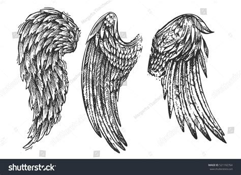 Realistic Wings Drawing