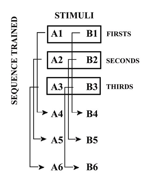Diagram Of Sequence Training The Arrows Depict Previous Stimulus Pairs