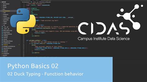 Python Basics 02 0208 Duck Typing Function Behavior Youtube