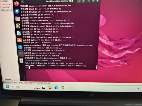 pwn配置 csdn博客