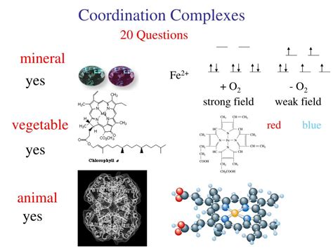 Ppt Coordination Complexes Powerpoint Presentation Free Download