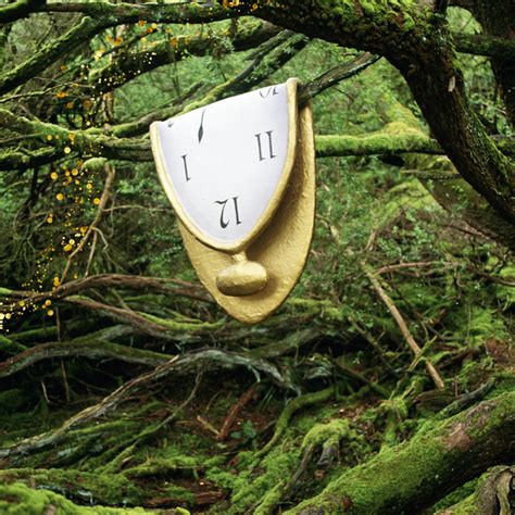 Monotropism Resources And Signposting Autistic Realms