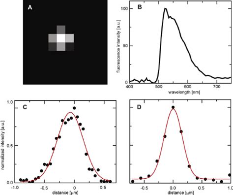 point spread function measurement a lateral section of a 0 17 μm