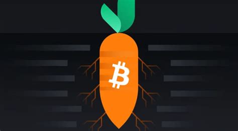 A Step By Step Guide To Building Taproot Scripts Using Bitcoinjs Lib