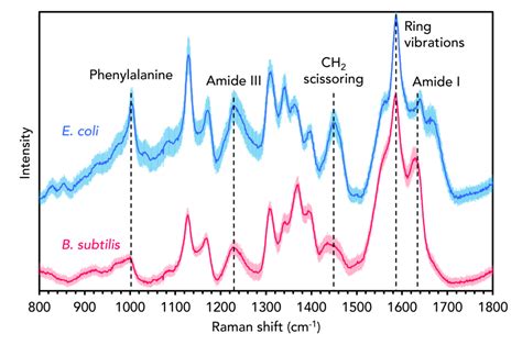 Discrimination Of Bacteria Species Using Raman Microscopy And Principal Component Analysis