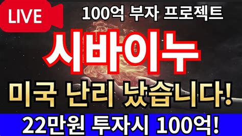 이제 시바이누 한국 차례입니다 모두 집중하세요 Youtube
