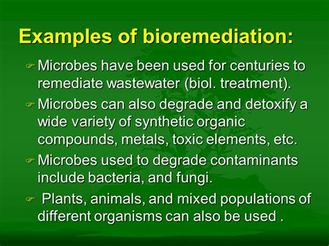 Bioremediation Examples