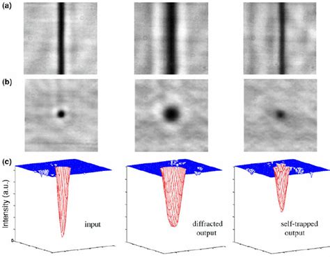 The Self Trapping Of A Dark Partially Coherent Beam Shown Are Download Scientific Diagram