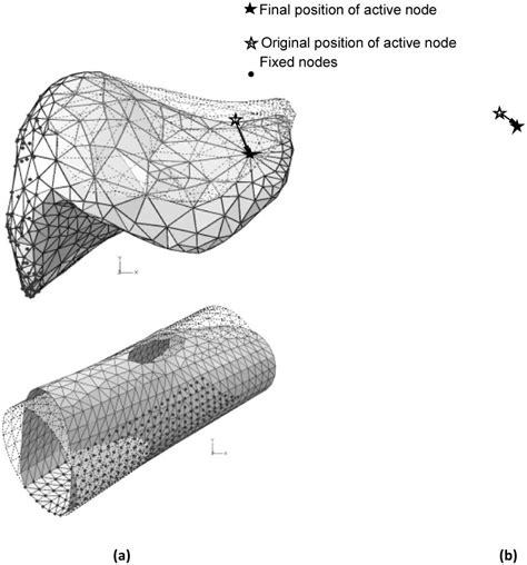 the finite element mesh and deformed configurations computed using