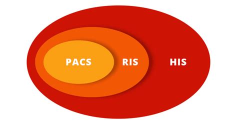 Pacs Ris Cis Lis E His Funcionalidades E Diferen As