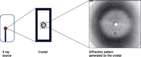 X Ray Crystallography Proteins Structure And Methods
