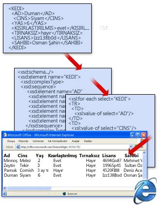 Deneyimsiz kullanıcılar için XML Microsoft Desteği