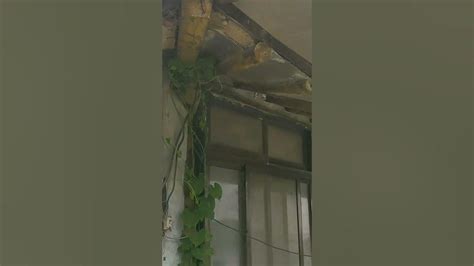 빈집을 구입하여 개조 또는 수리 리모델링 하면 아파트 처럼 될까 Youtube