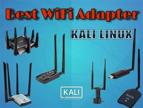 Basic Terminal Uses On Kali Linux