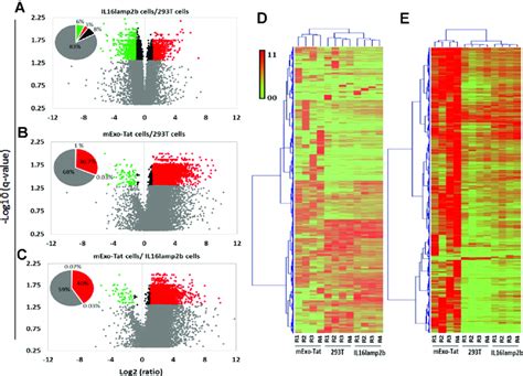 Quantitative Analysis Of The Proteomics Dataset Obtained From 293t