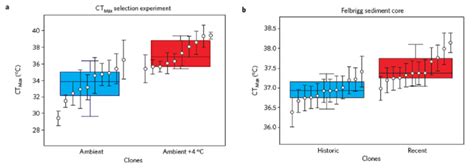 average critical thermal maxima ctmax for daphnia clones from a