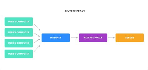 Apa Itu Squid Mengenal Pengertian Squid Proxy Server