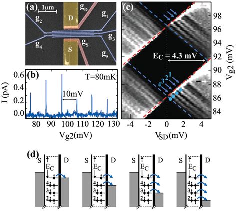 Color A Scanning Electron Microscope Image In Artificial Colors Of Download Scientific