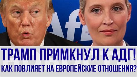 18 июня ПАНИКА В Германии Трамп поддержал АдГ всё изменилось Youtube