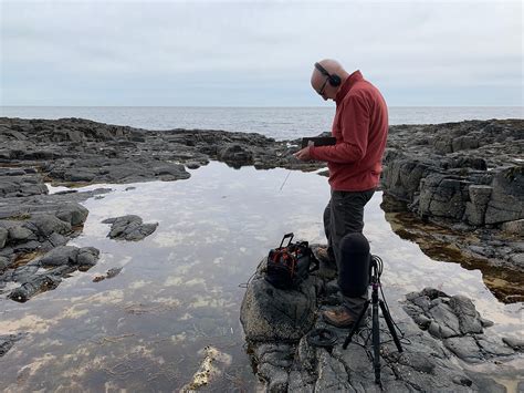 field recordist chris watson on the hidden music of our world