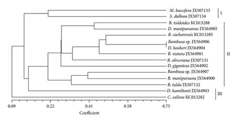 A Dendrogram Based On Jaccards Similarity Coefficient Obtained From