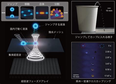 Microfluidic Platform Using Focused Ultrasound Passing Through