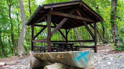 საქართველოს ინფრასტრუქტურის სამინისტროს მუნიციპალური განვითარების ფონდი თბილისის ეროვნული