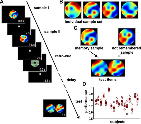 figure 1 from decoding the contents of visual short term memory from