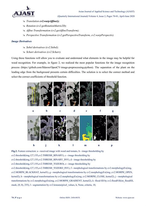 artificial intelligence in weed recognition tasks pdf