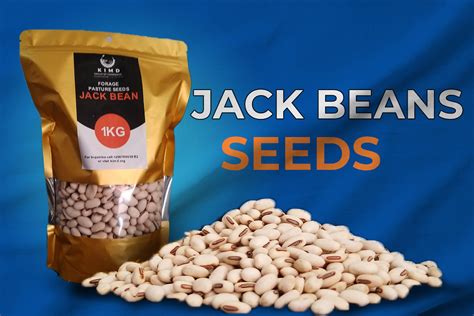 Jack Beans Kimd Group Of Companies Shop