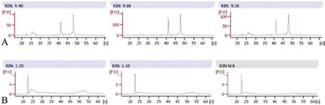 Representative Ultraviolet Visible Electropherogram Curves And Rna Download Scientific Diagram
