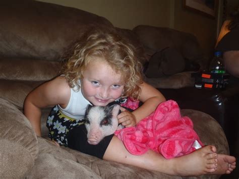 Celebrities Who Love Honey Boo Boo Tina Fey Bristol Palin And More