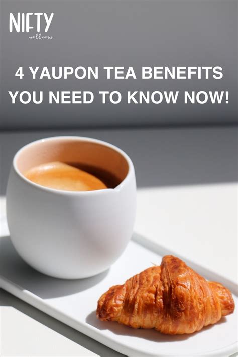 Yaupon Tea Benefits Boost Your Health Nifty Wellness