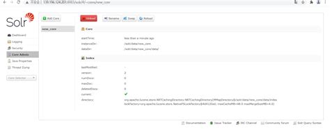 single machine solr entry level installation programmer sought